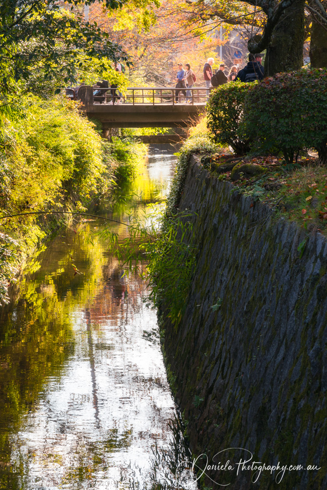 Daniela Constantinescu Photography - Japan Autumn Colors
