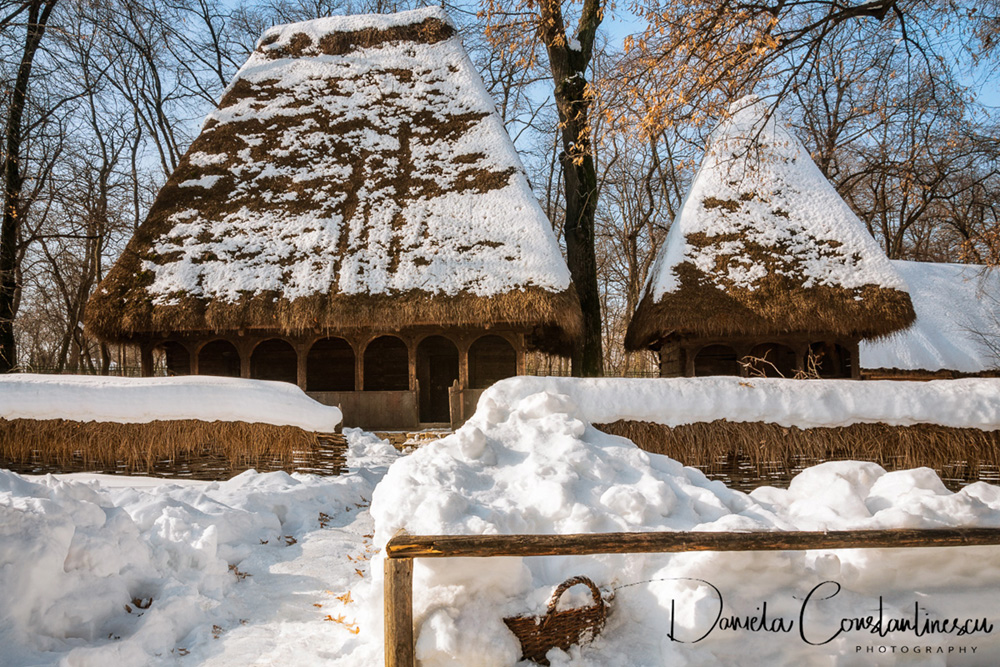 Daniela Constantinescu Photography - Romanian Pastoral Scenes