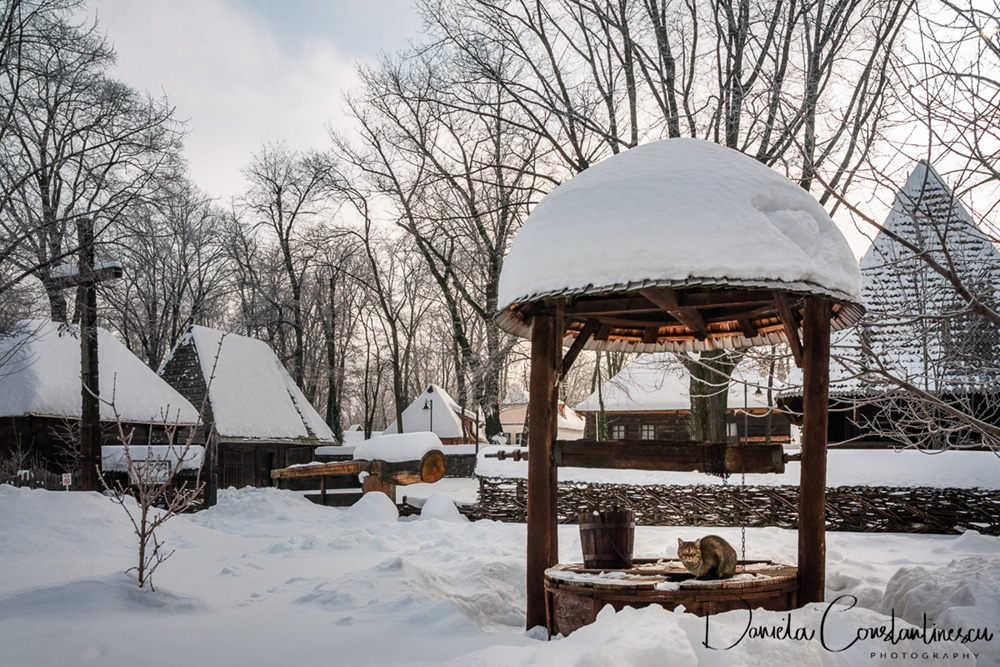 Daniela Constantinescu Photography - Romanian Pastoral Scenes