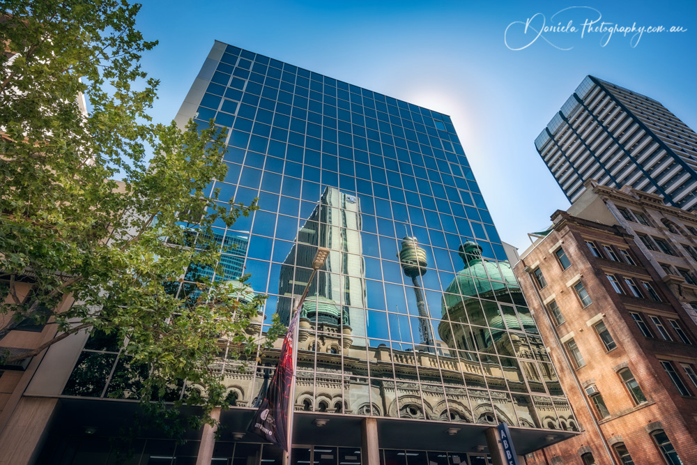 Daniela Constantinescu Photography - Sydney